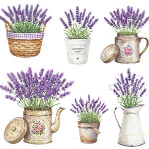 Watercolor Lavender Clipart Set: Rustic Floral PNG (digital Download ...