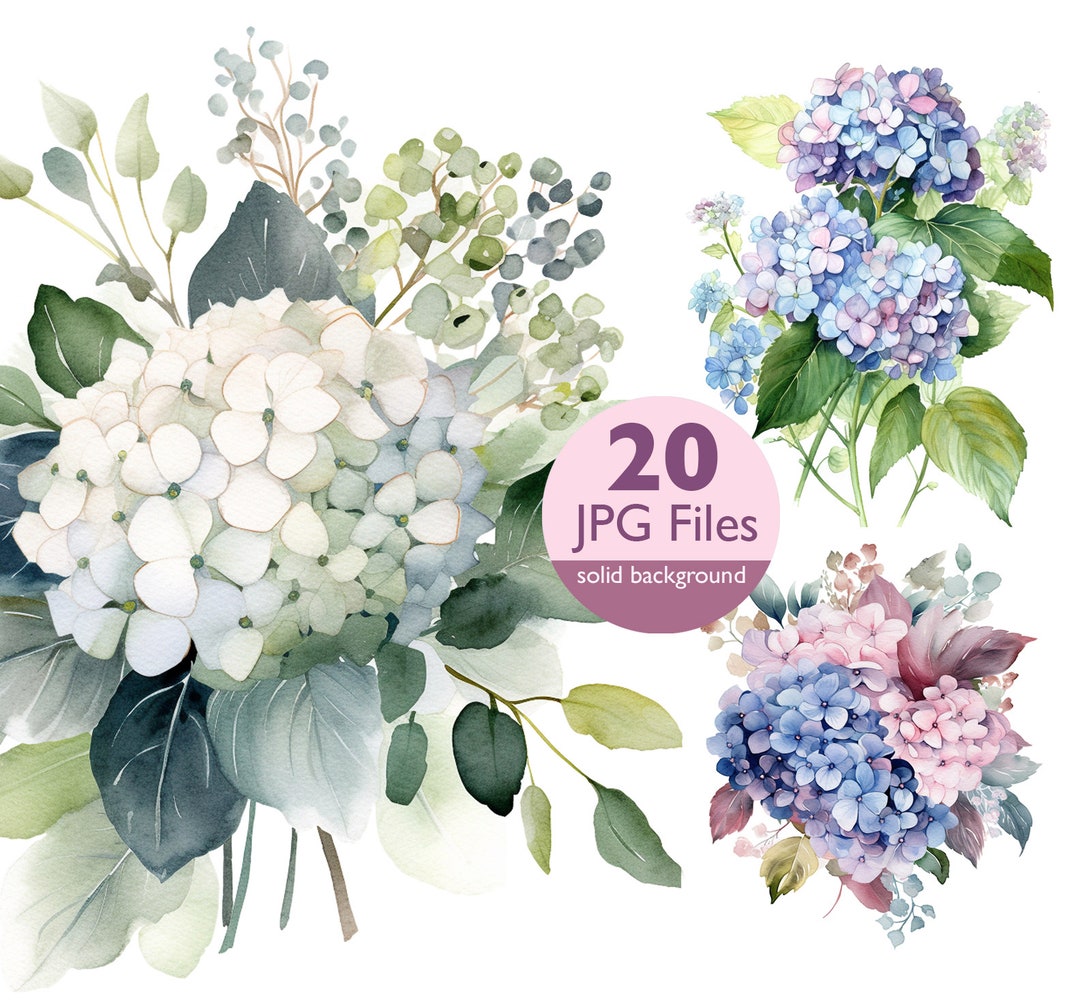 Hydrangea Clip Art, JPG White Blue Pink Hydrangeas, Flower Watercolor ...