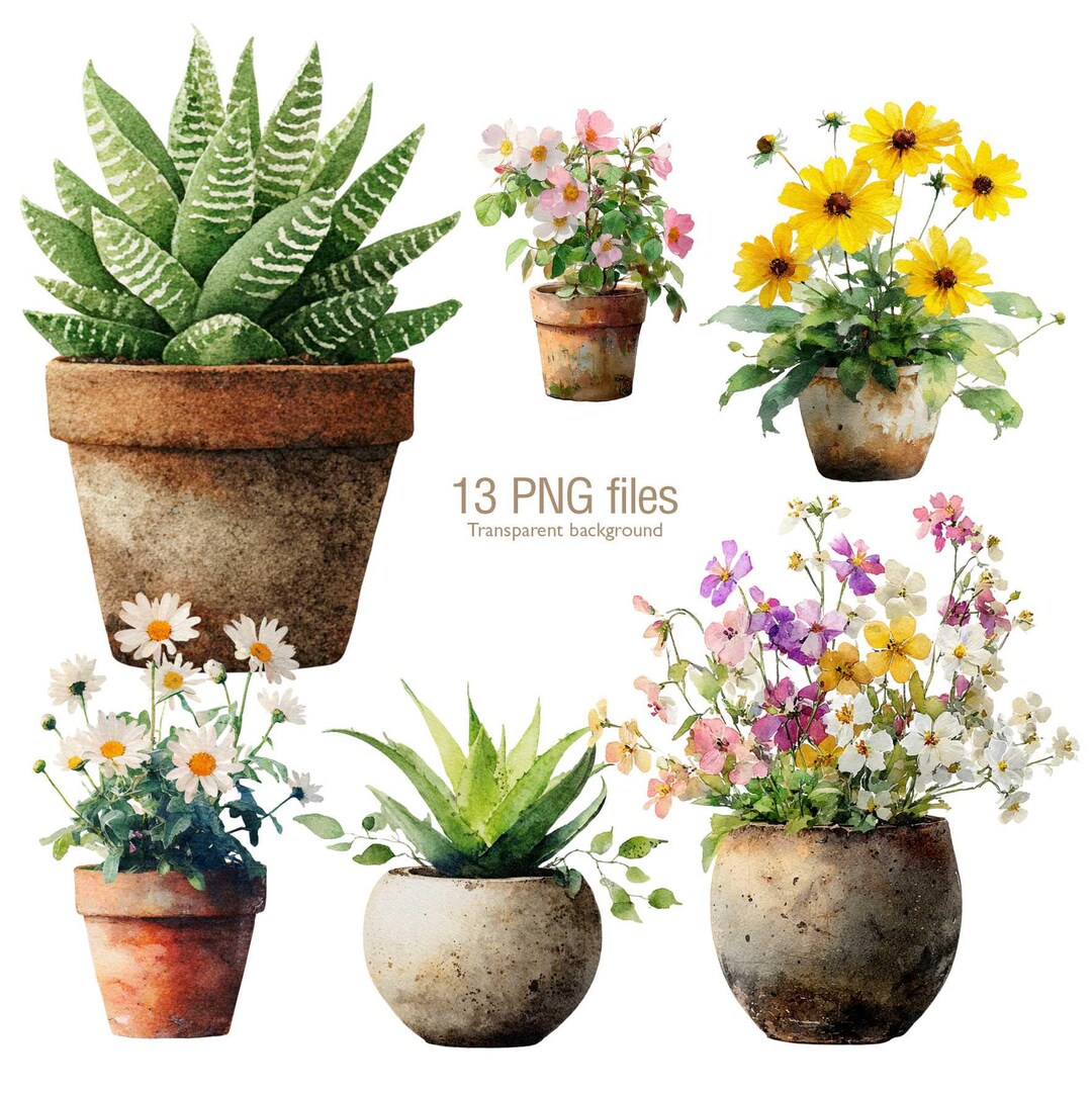 Rustic Potted Plants Clipart, Floral & Greenery Botanical Illustrations ...