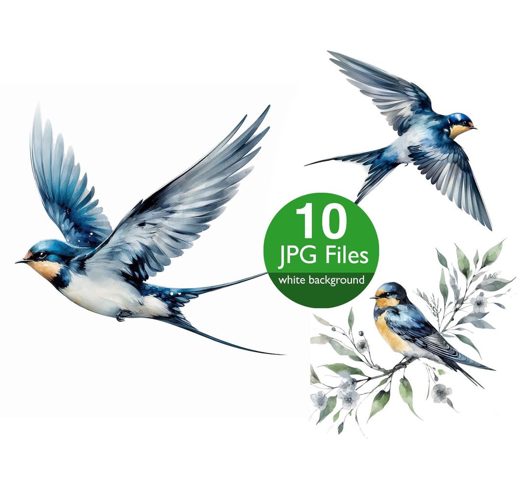 Swallow Bird Clip Art, JPG Watercolor Nature Clipart, Paper Crafts ...