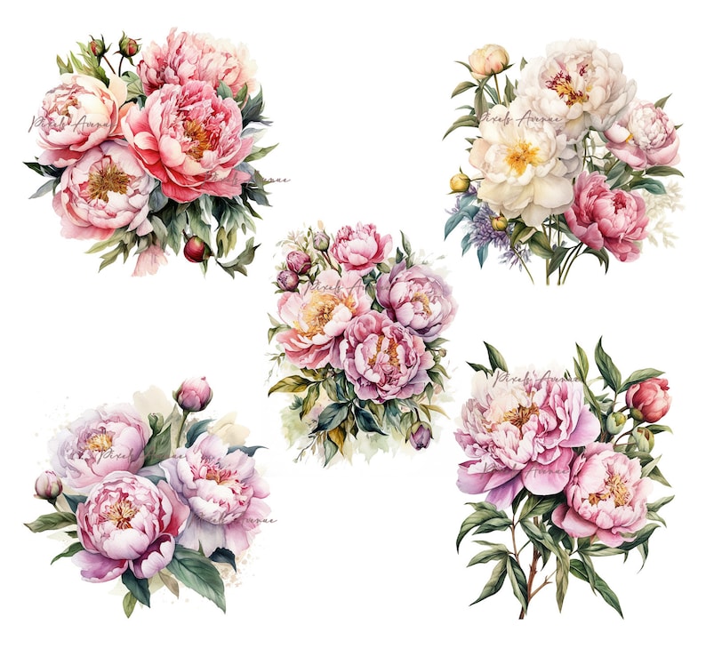 Watercolor Peony Clipart: Floral Wedding Invitation Graphics (JPG Files ...