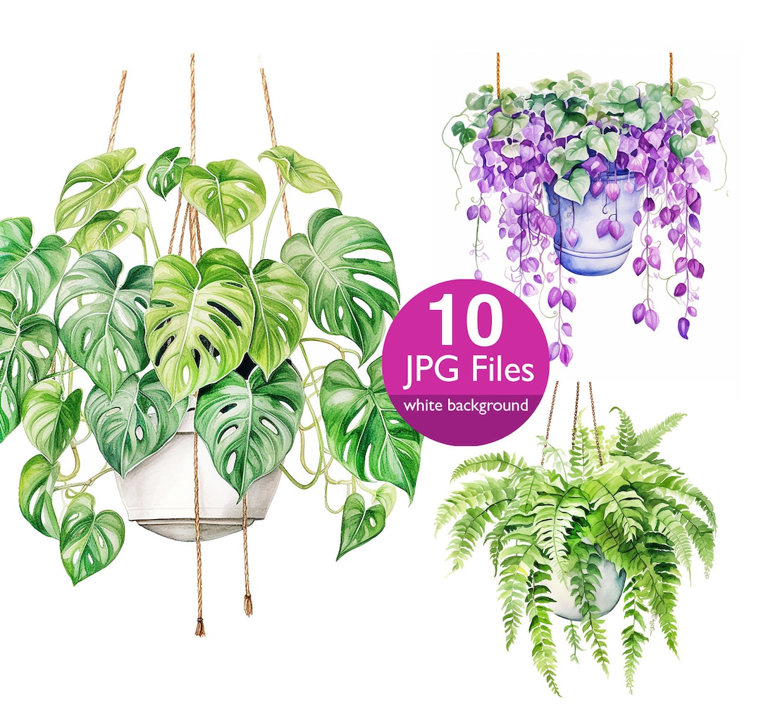 Hanging Plants Clip Art, JPG House Plant Watercolor Clipart, Greenery ...