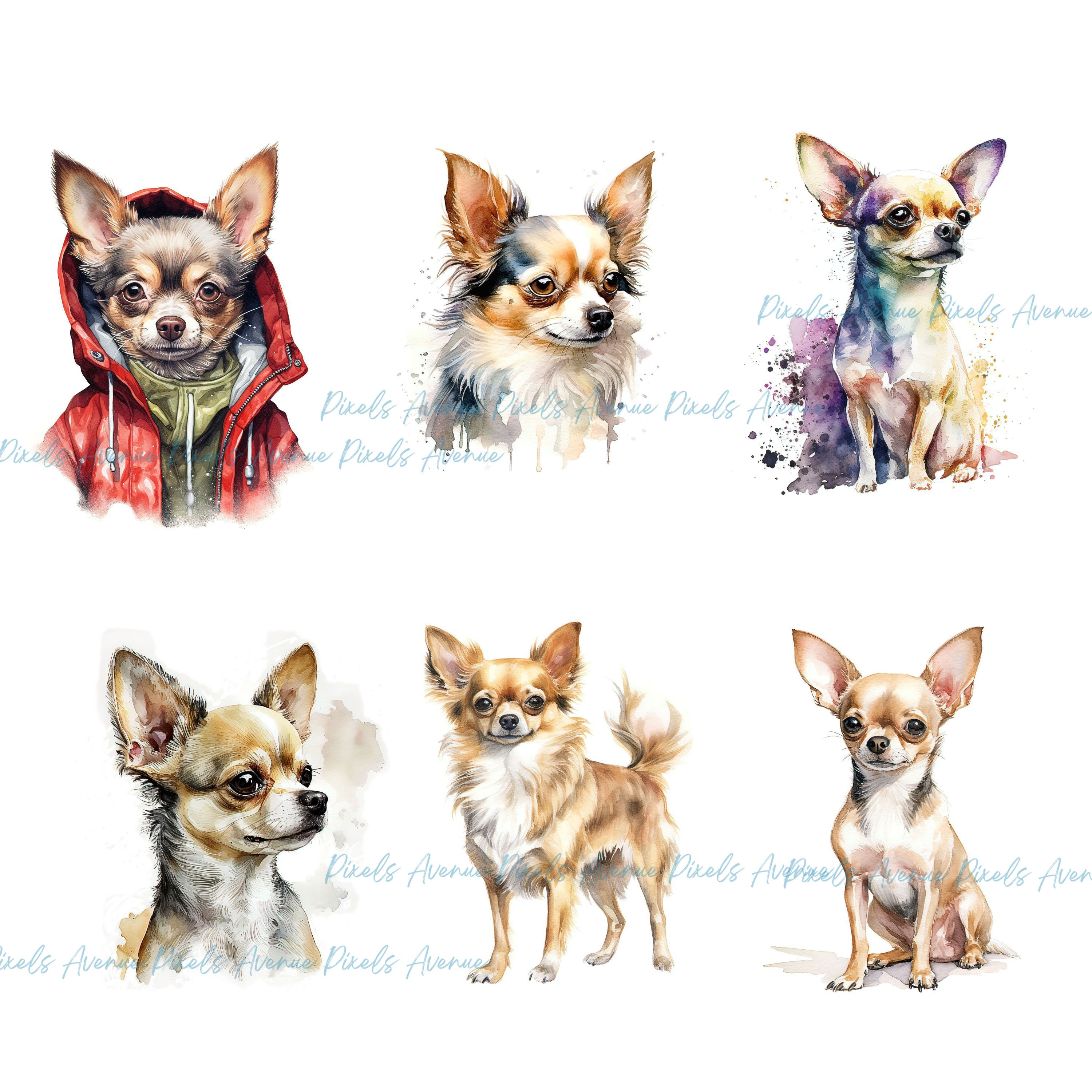 Chihuahua Clip Art JPG Puppy Watercolor Puppies Clipart Dog - Etsy