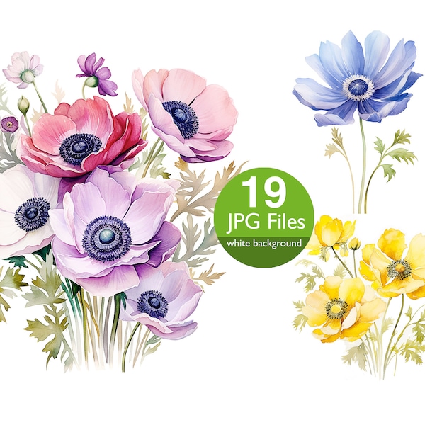 Anemone Clipart - Etsy