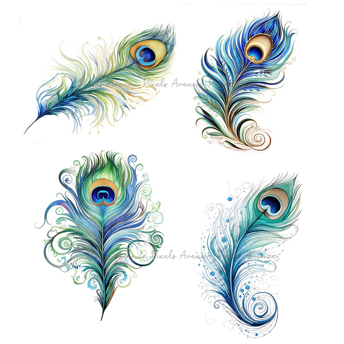 Peacock Feather Clip Art JPG Watercolor Birds Clipart - Etsy