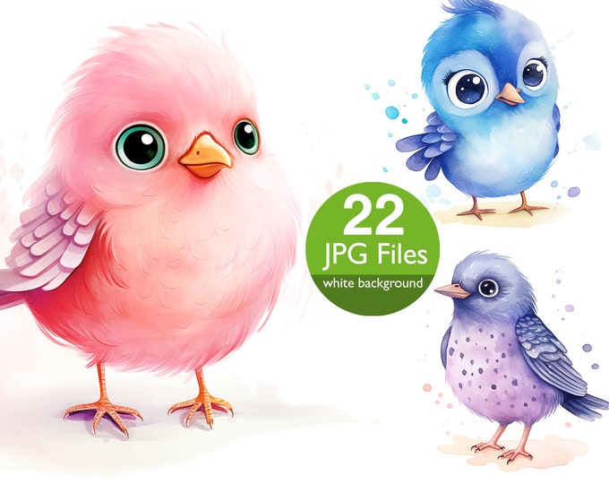 9 Cute Birds Clipart Bundle- High Quality Watercolor Jpgs,, Printable ...