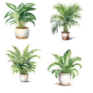 Indoor Plants Clip Art, JPG House Plant Watercolor Clipart, Greenery ...