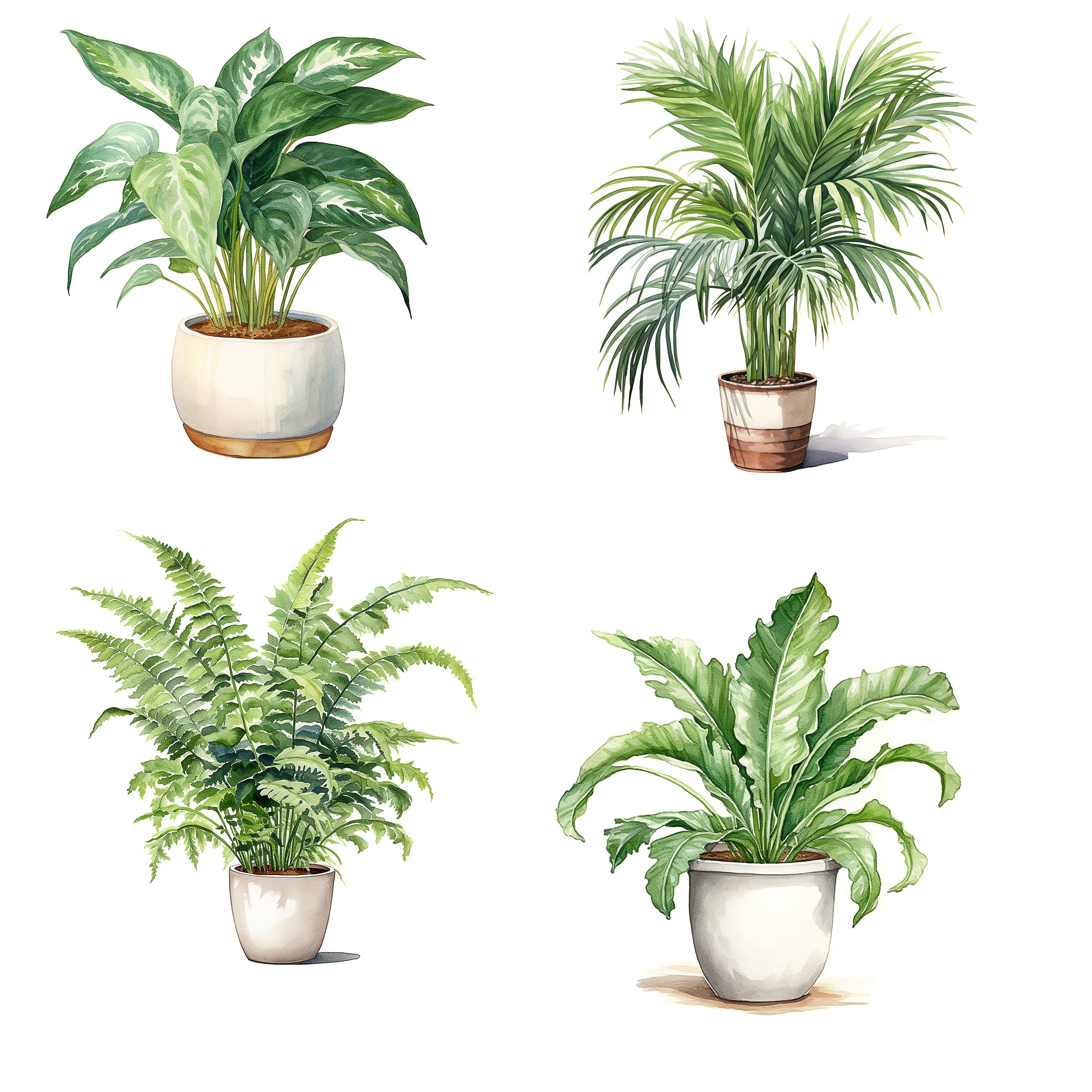 Indoor Plants Clip Art JPG House Plant Watercolor Clipart - Etsy