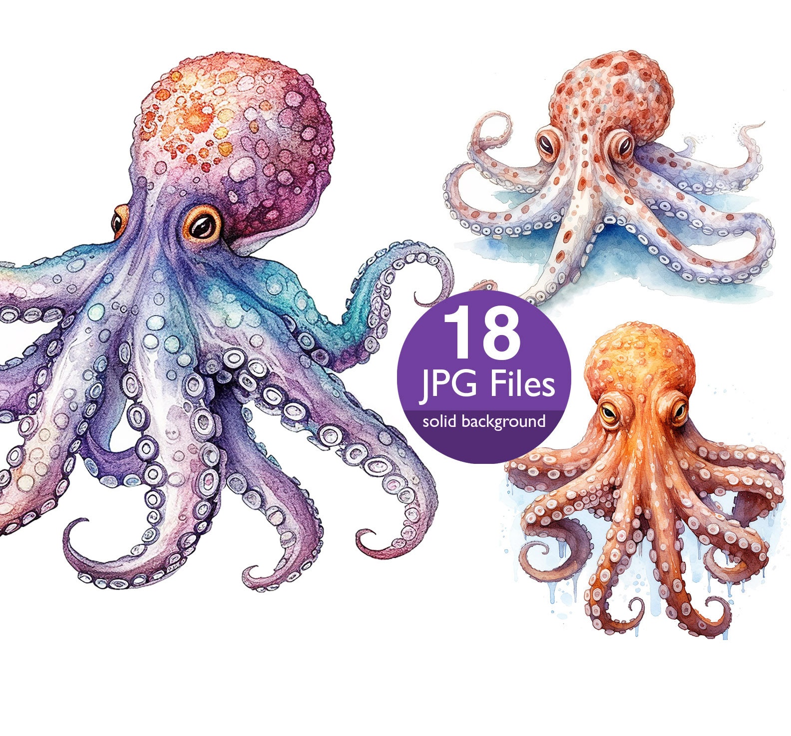 Octopus Clipart