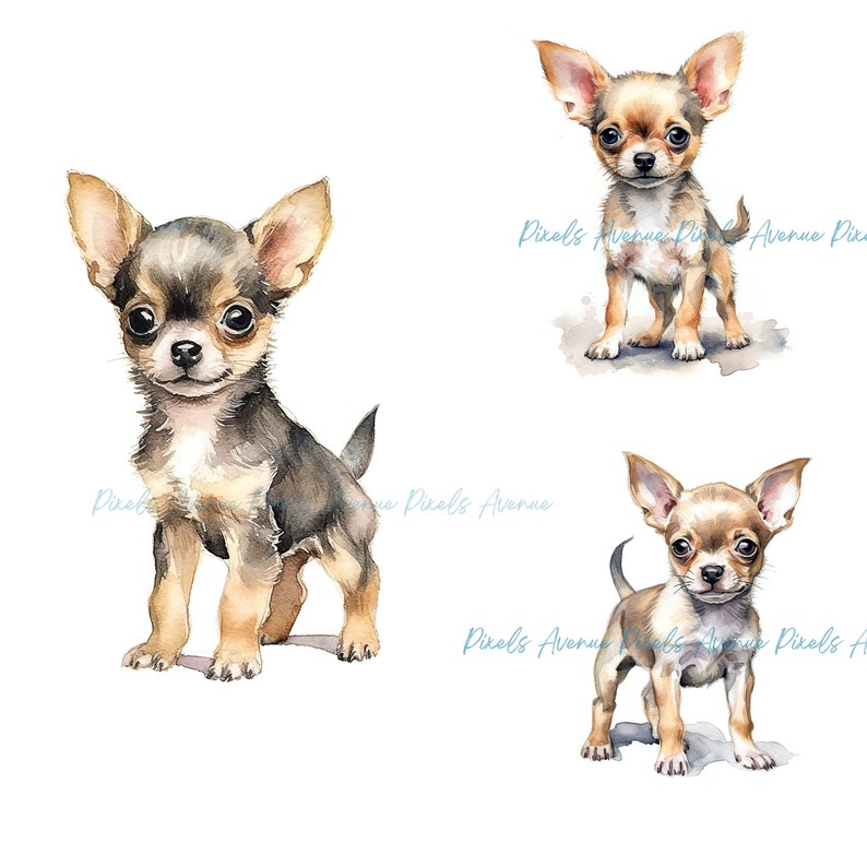 Chihuahua Clip Art JPG Puppy Watercolor Puppies Clipart Dog - Etsy
