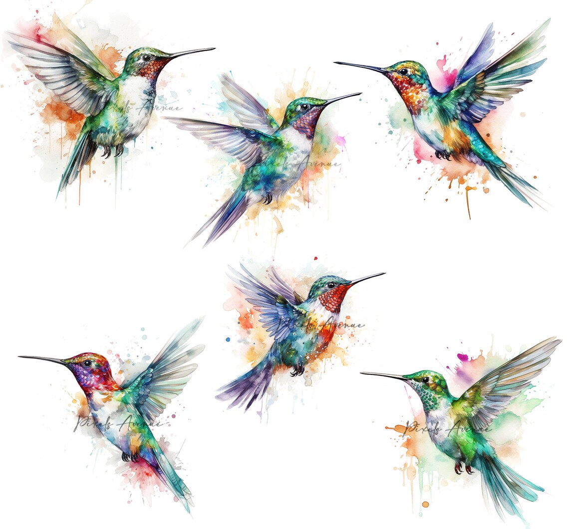 Hummingbird Clip Art JPG Watercolor Hummingbirds Clipart - Etsy