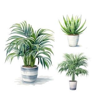 Indoor Plants Clip Art, JPG House Plant Watercolor Clipart, Greenery ...