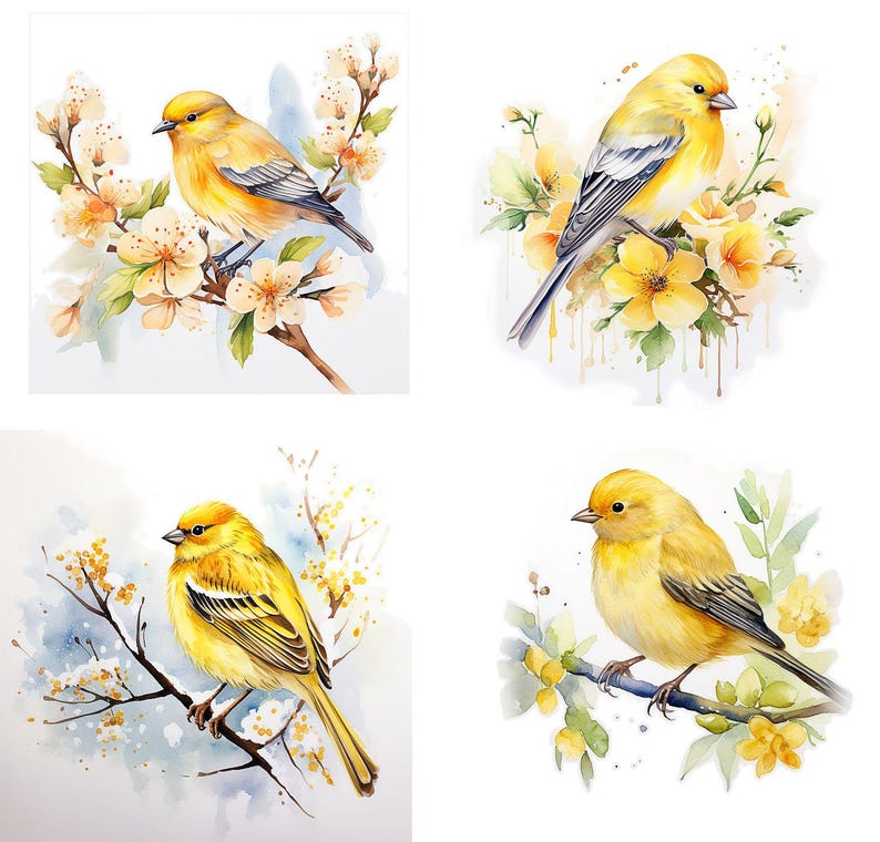 Canary Bird Clipart Set – Spring Floral Songbird, Yellow Bird ...