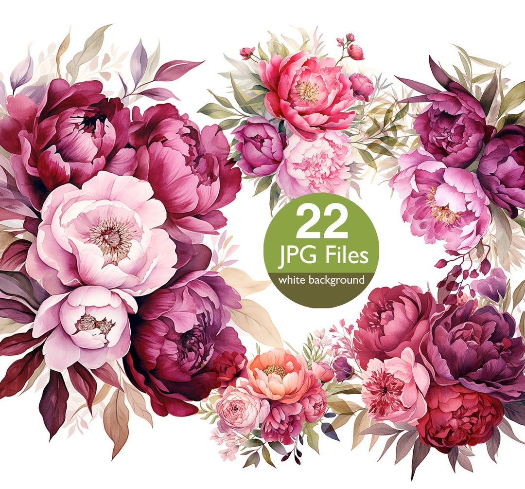 Magenta Peony Watercolor Clipart: Floral Wedding Invitation (JPG Files ...