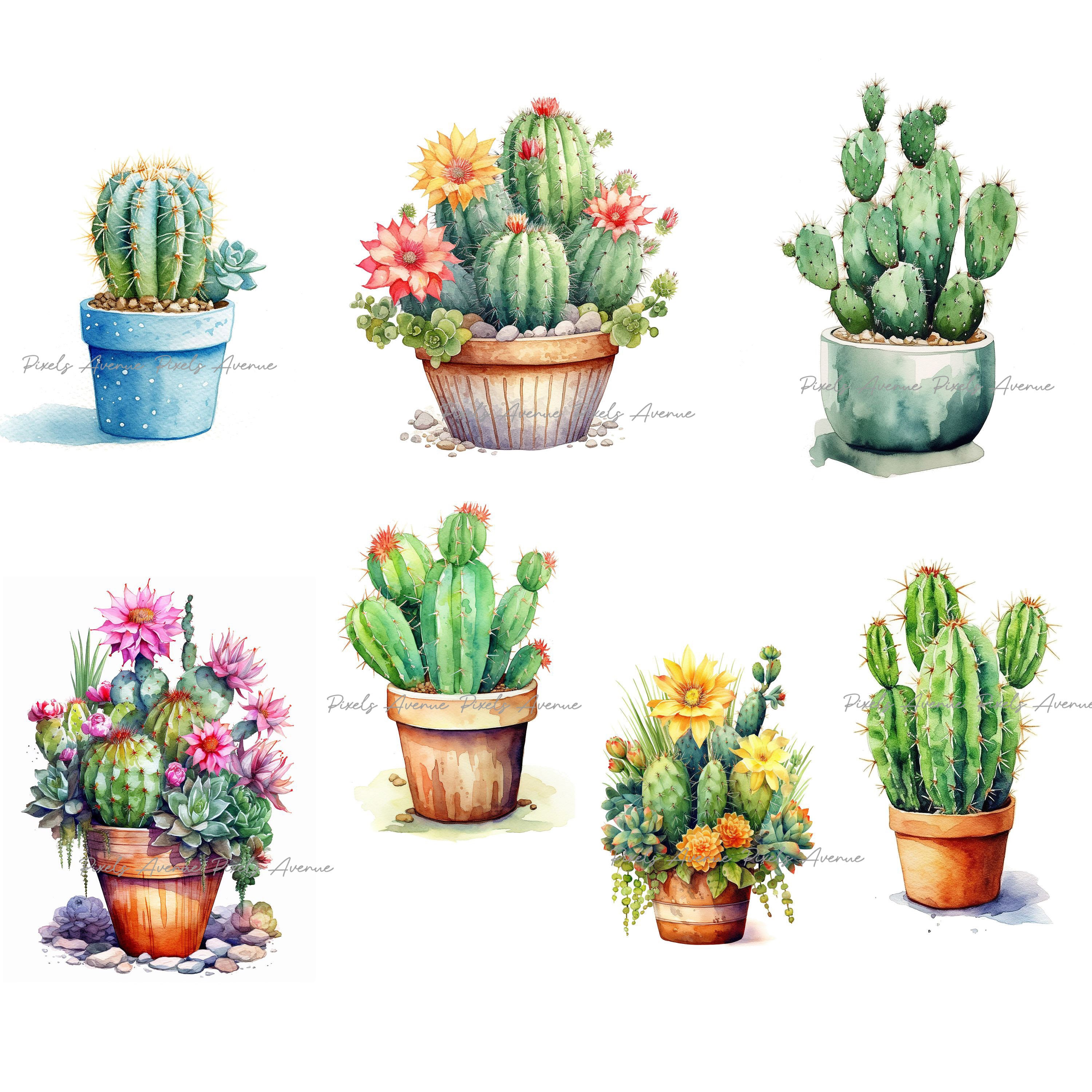 Watercolor Cactus Clip Art JPG Cacti Clipart House Plant - Etsy