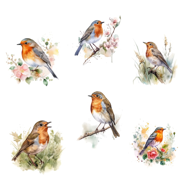Bird Robin Clip Art, JPG Watercolor Birds Clipart, Paper Crafts ...