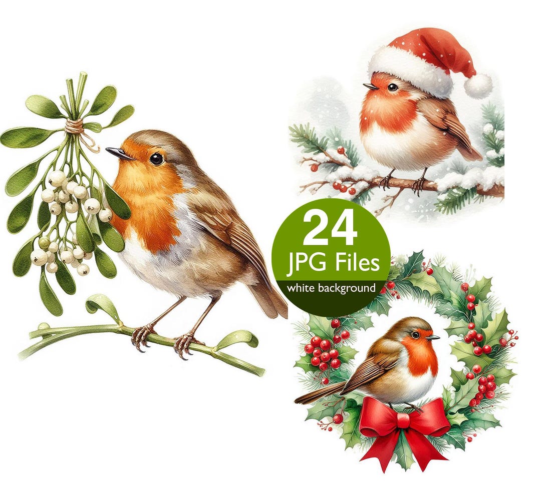 Christmas Robin Clipart, JPG Watercolor Holiday Clipart Paper Crafts ...