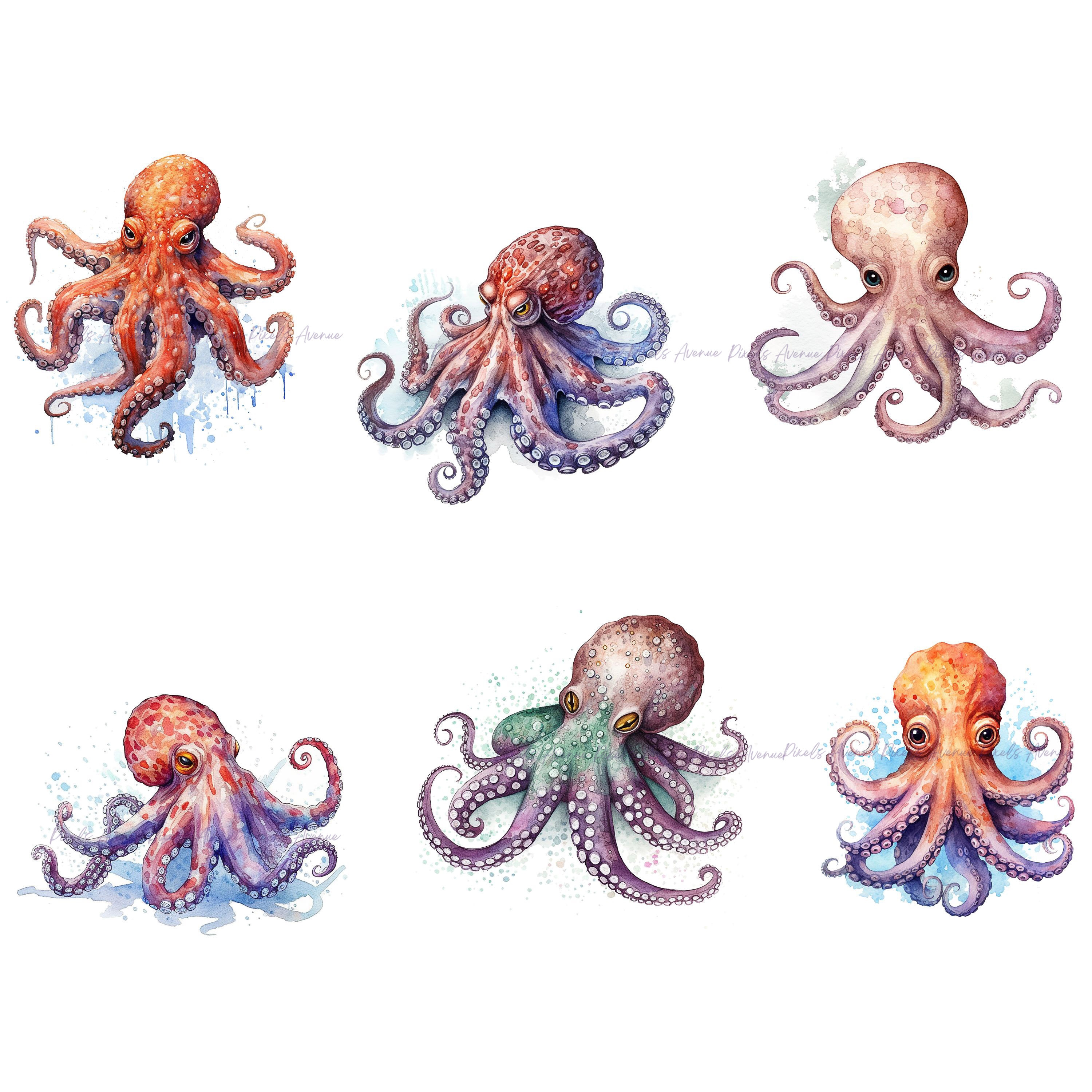 Octopus Clip Art JPG Watercolor Clipart Sea Creature - Etsy