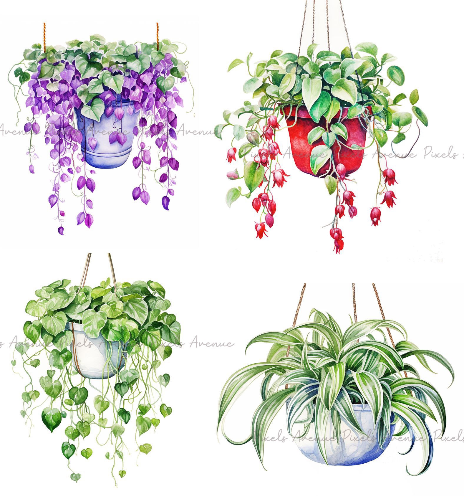Hanging Plants Clip Art JPG House Plant Watercolor Clipart - Etsy