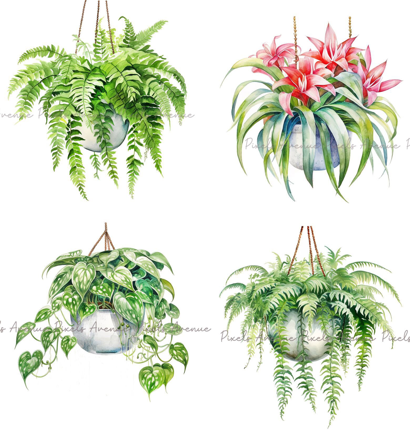 Hanging Plants Clip Art JPG House Plant Watercolor Clipart - Etsy