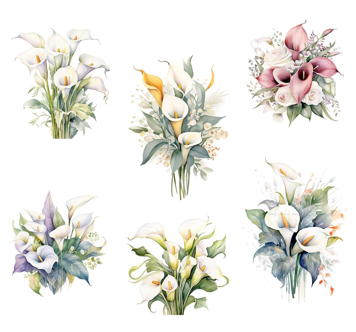 Calla Lily Clip Art, JPG Flowers Watercolor Clipart,calla Lilies ...