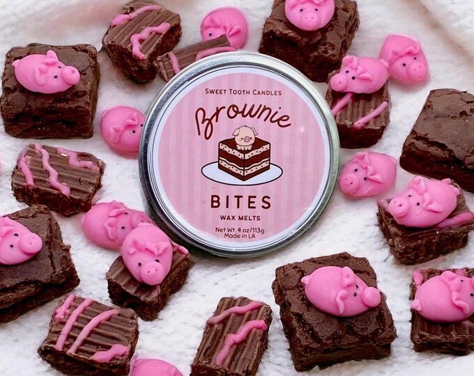 Brownie Bites Wax Melts, Realistic Food Shaped Soy Wax, Fake Food ...