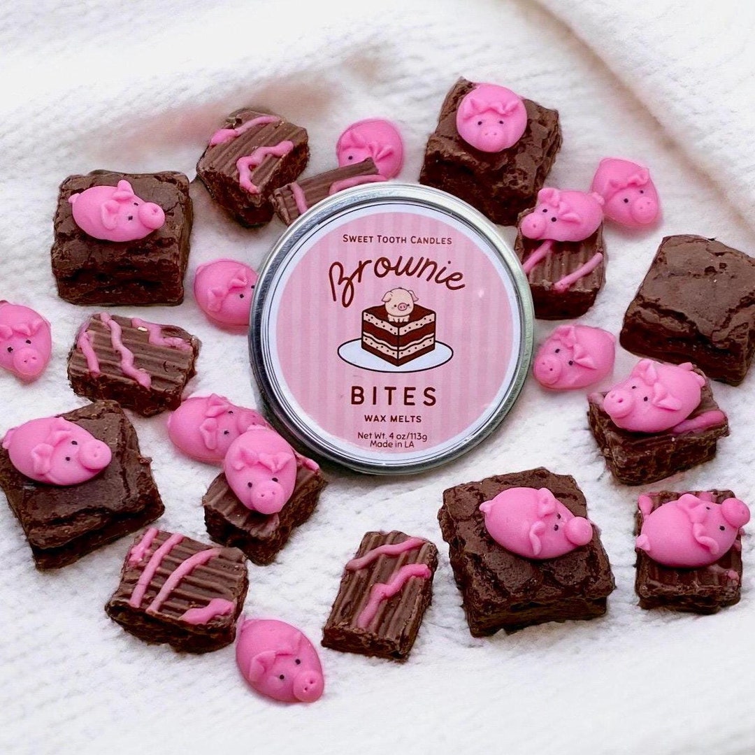 Brownie Bites Wax Melts, Realistic Food Shaped Soy Wax, Fake Food ...