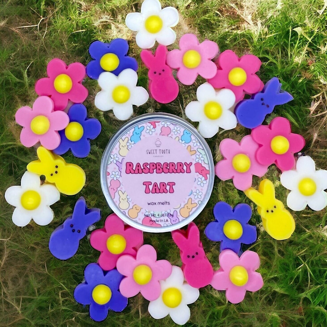Raspberry Tart Wax Melts, Spring Easter Shaped Melt, Realistic Food ...