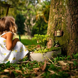 Opening Fairy Door and Windows for Trees – Glow in the Dark - Super ...