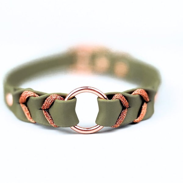 Accessoire chien - Etsy France