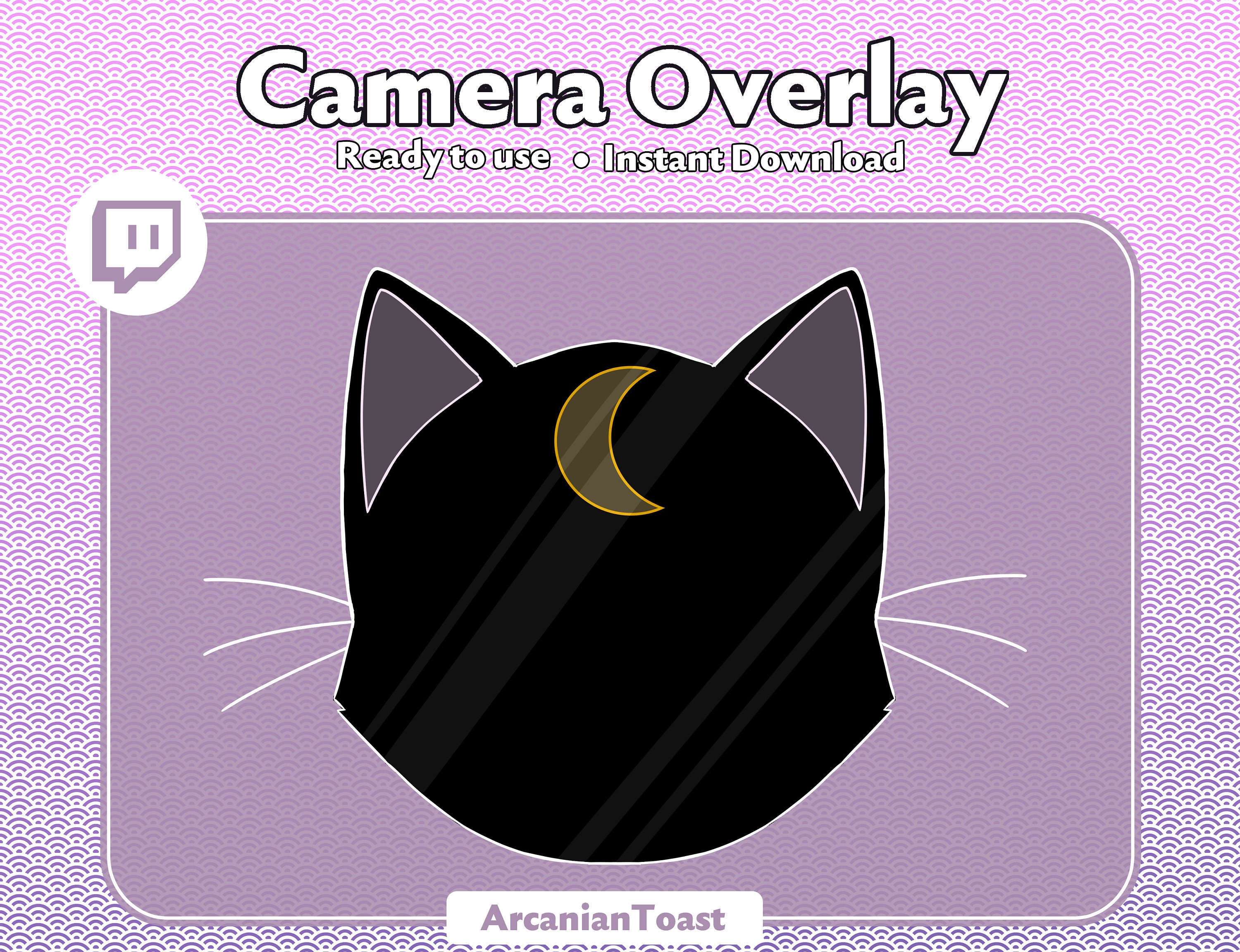 Cat Camera Overlay - Etsy