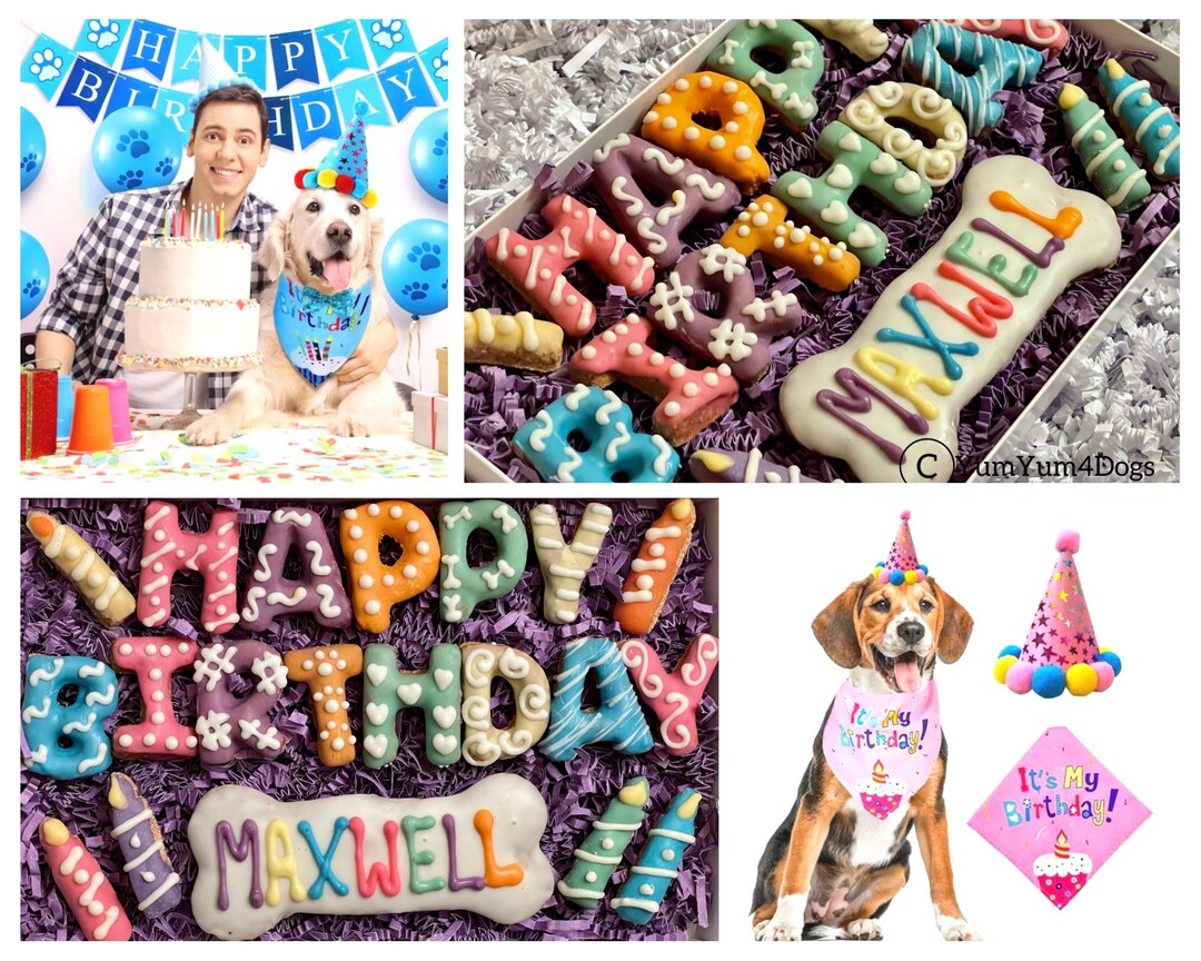 PAWTY BUNDLE Happy Birthday PERSONALIZED Dog Treats & Pawty - Etsy