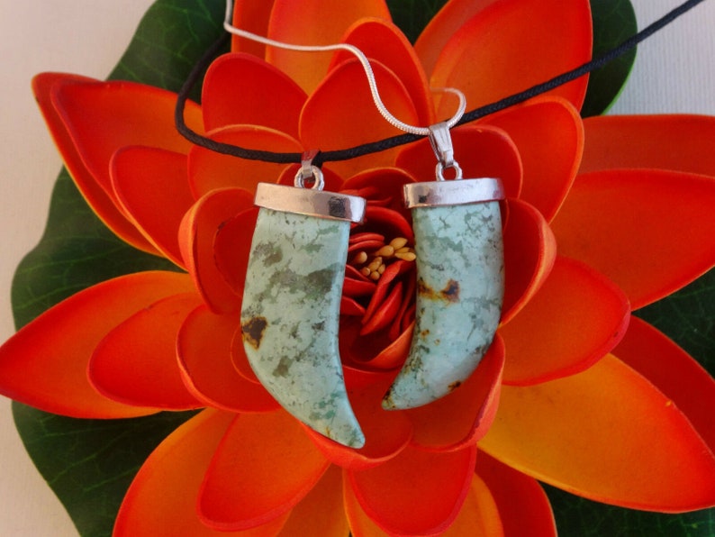 African Turquoise Shark Tooth Dagger Pendant Large 55 Mm Leather or ...