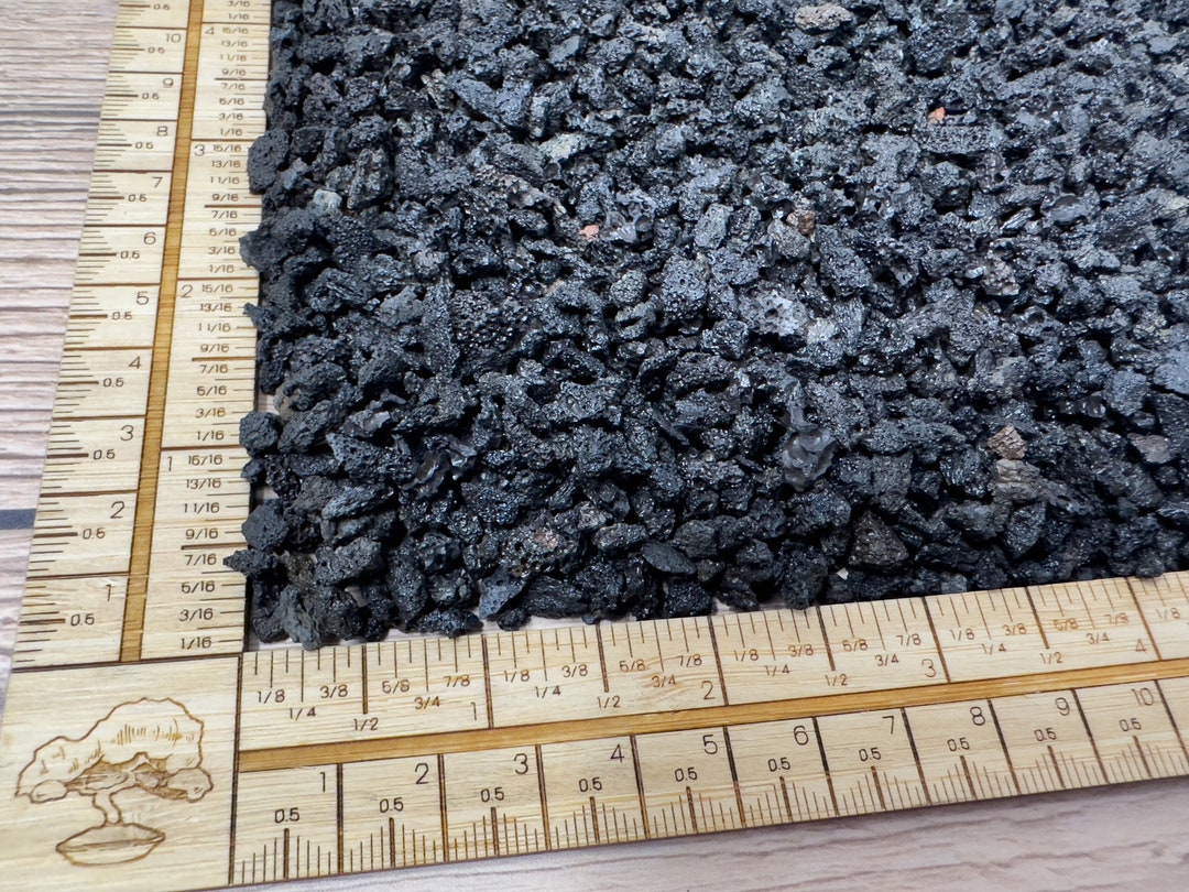 5 Quarts Small Black Lava Rocks Scoria for Succulent, Cactus and Bonsai ...