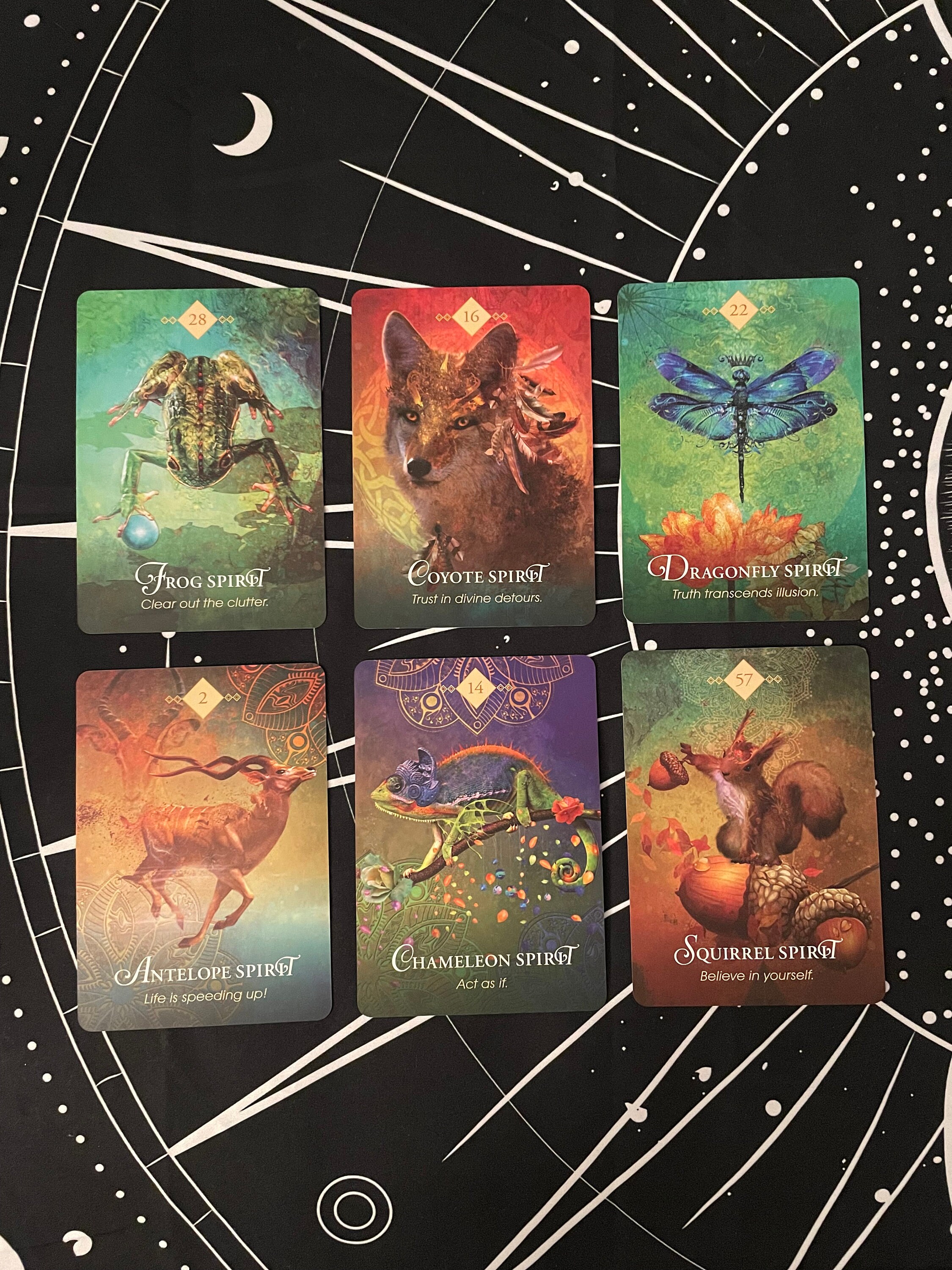 Animal Spirit Oracle Reading Angel Messages Divine Signs Ascension ...