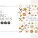 Cute Spring Flower Elements Clipart Vector Illustration, SVG Spring ...