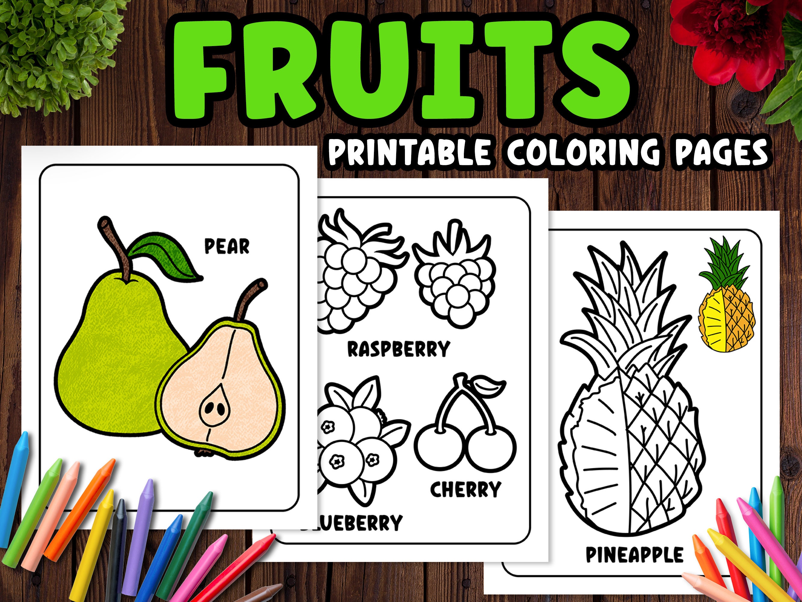 Fruits Printable Coloring Pages [PDF] - Copy the Color - Digital ...
