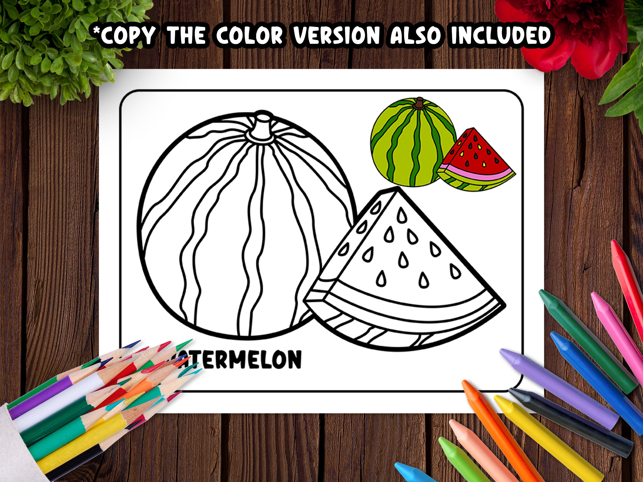 Fruits Printable Coloring Pages [PDF] - Copy the Color - Digital ...