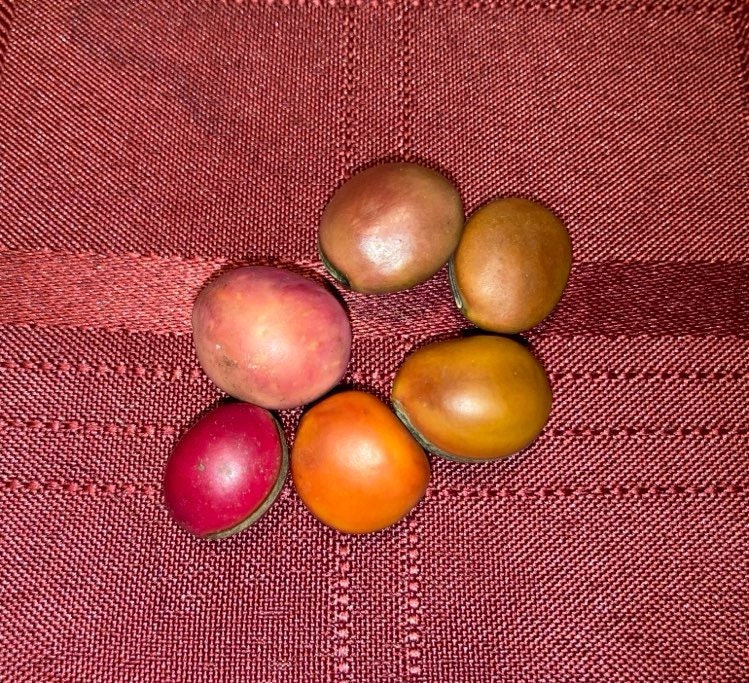 Refuerzo Chango 7 Rayo Santeria Palo Egun Osha Ifa Orisha - Etsy