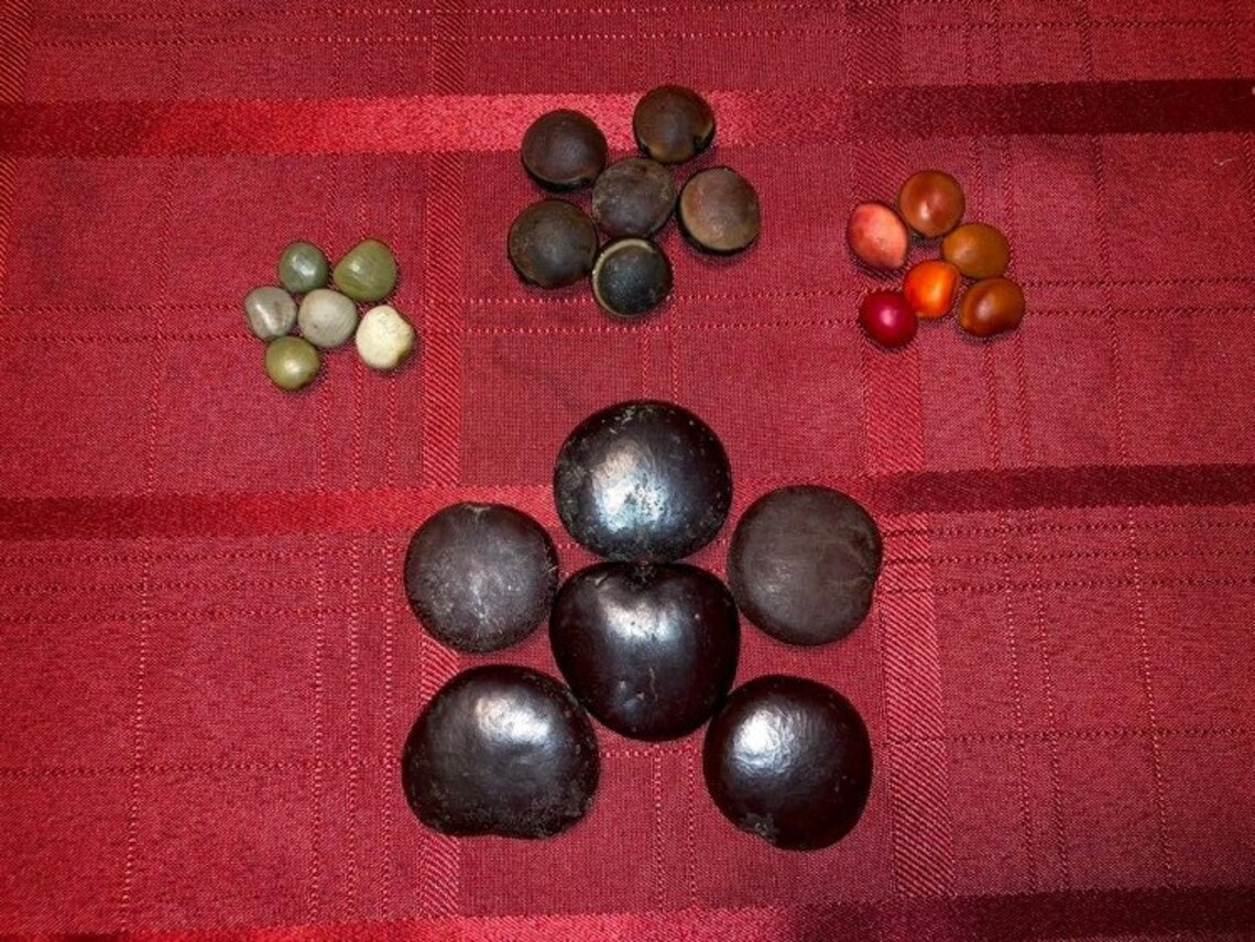 Refuerzo Chango 7 Rayo Santeria Palo Egun Osha Ifa Orisha - Etsy