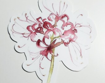 Spider Lily | Etsy