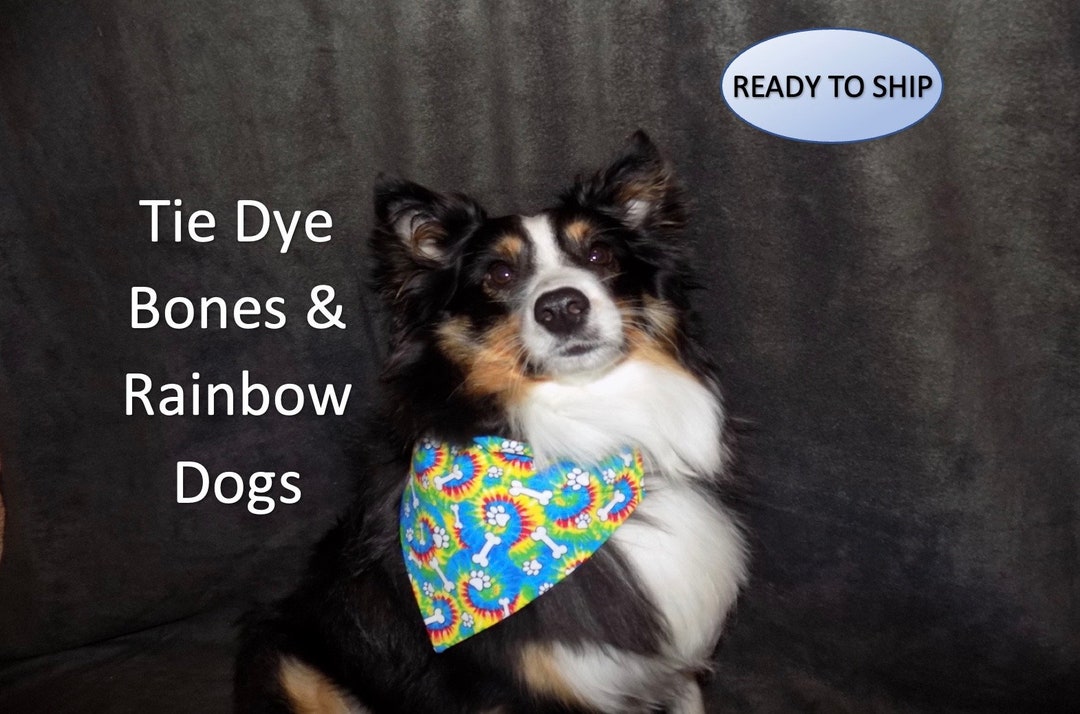 Reversible Tie Die Bones & Rainbow Dogs Dog Bandana, Over the Collar ...