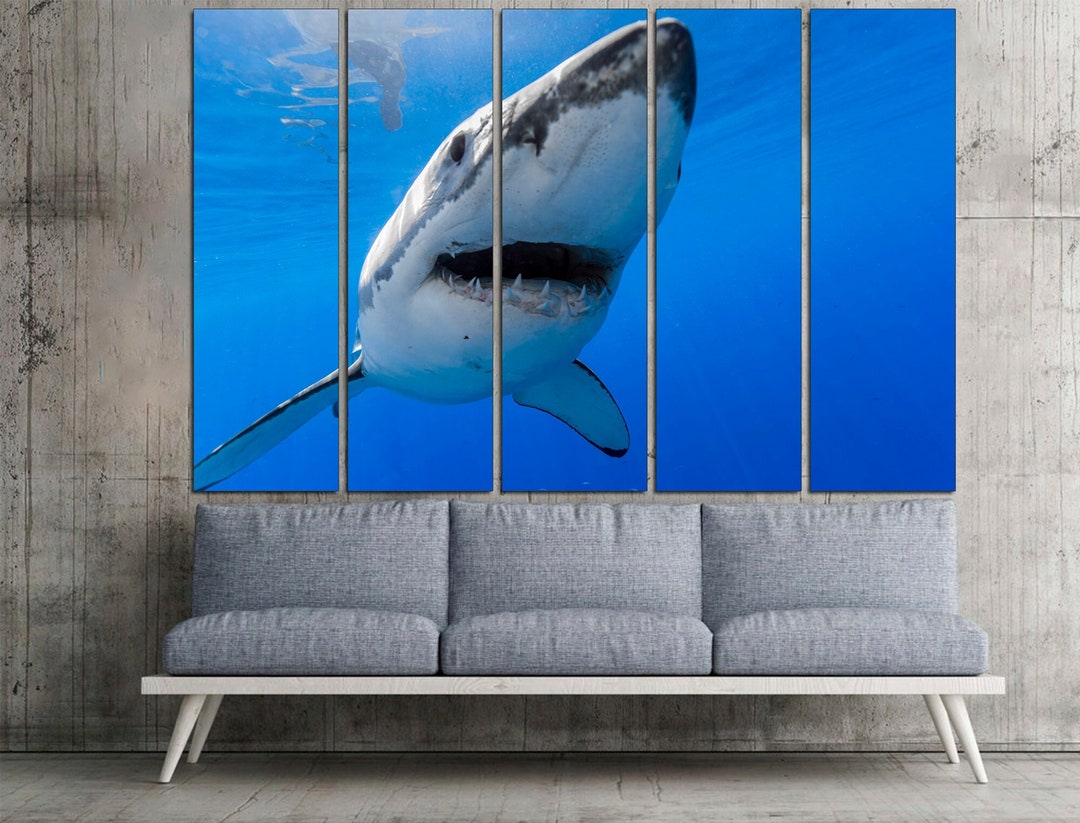 Shark Wall Art Ocean Wall Decor Shark Poster - Etsy