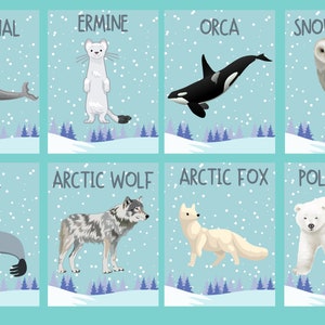 Arctic Animal Educational Posters Daycare Preschool Curriculum Playroom ...