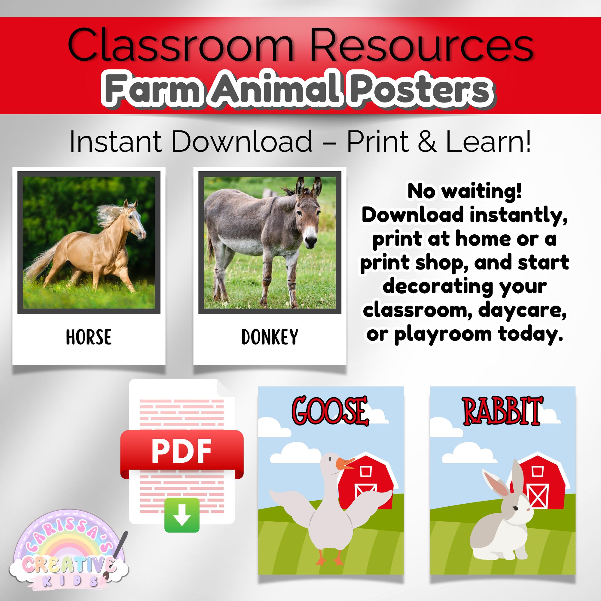 Preschool Farm Animal Posters | Daycare Playroom Farming Posters ...