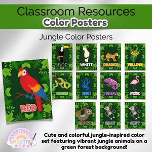Preschool Rainforest Jungle Color Posters | Jungle Classroom Theme ...