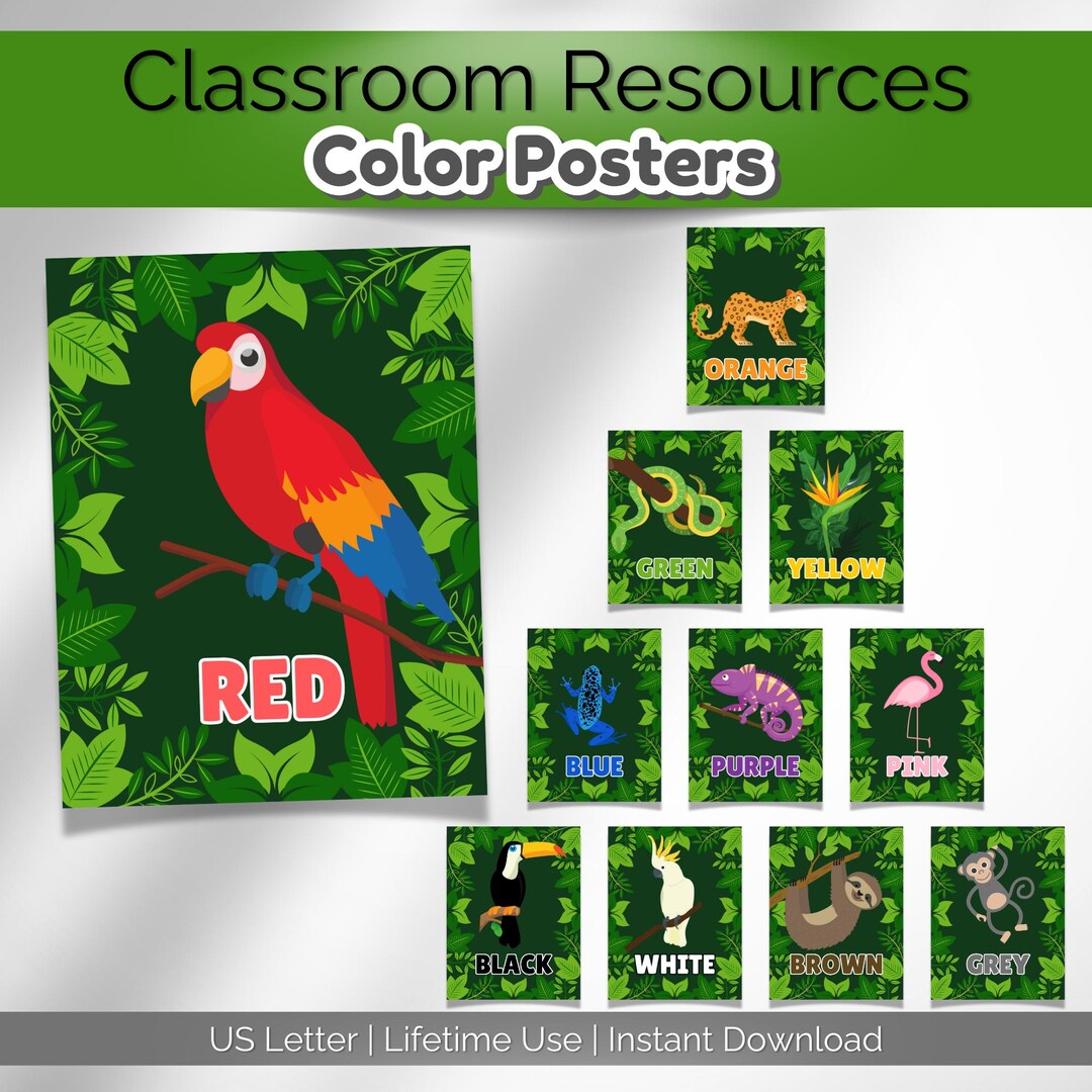 Preschool Rainforest Jungle Color Posters | Jungle Classroom Theme ...