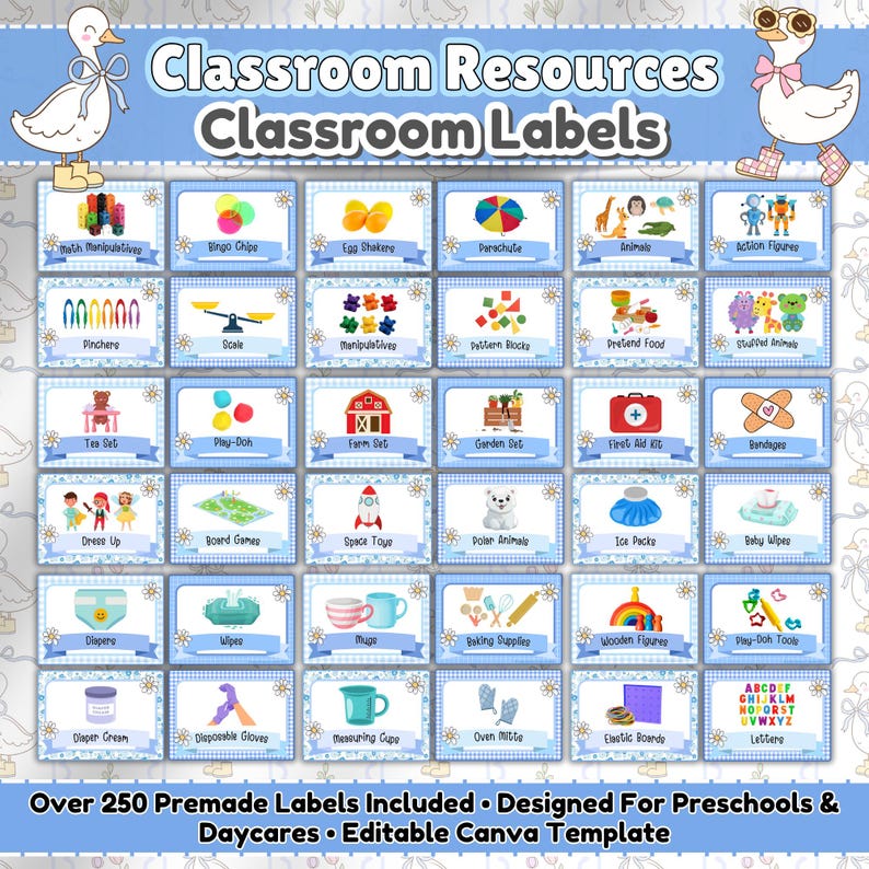 Classroom Decor Labels for Daycare & Preschool | Editable Silly Goose ...