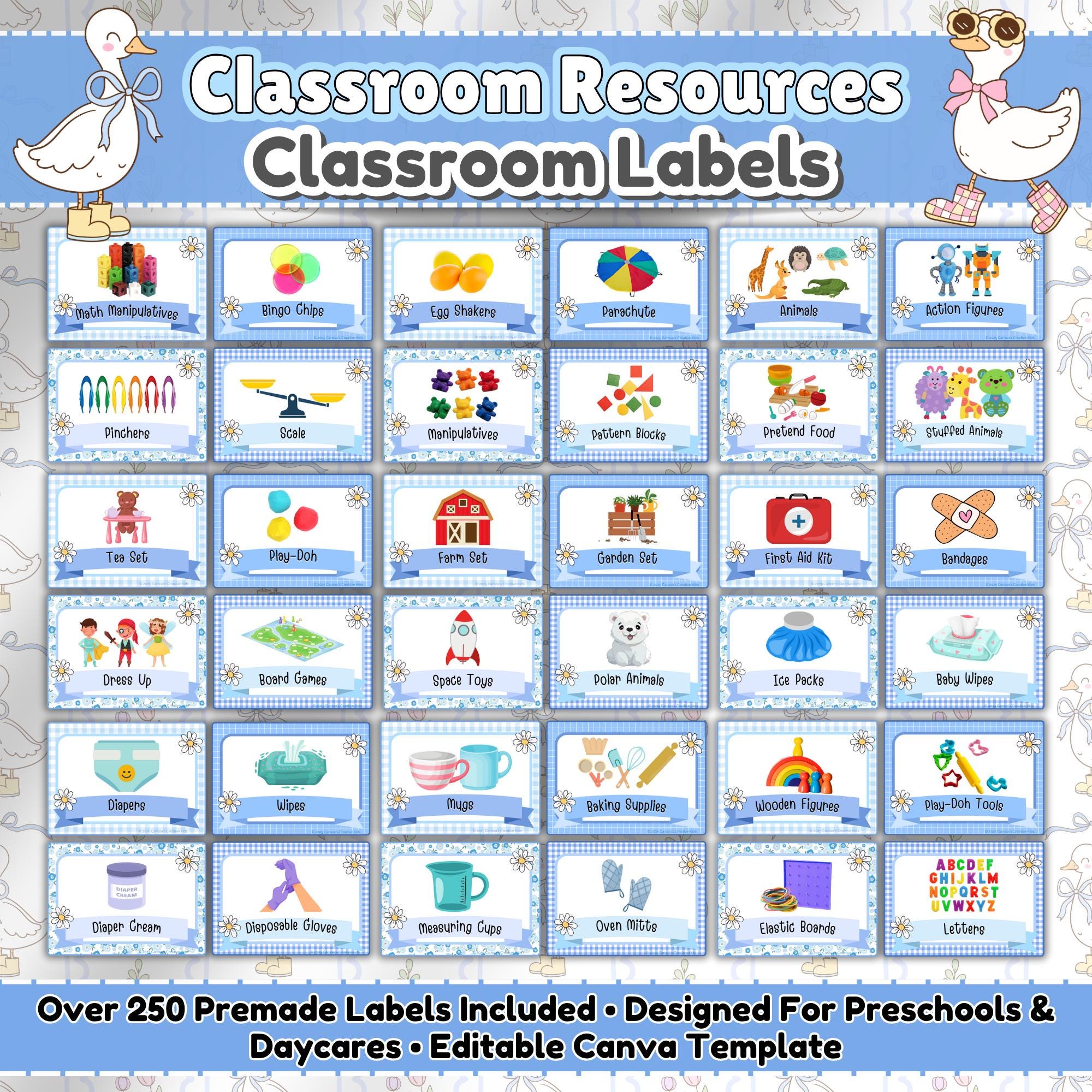 Classroom Decor Labels for Daycare & Preschool | Editable Silly Goose ...