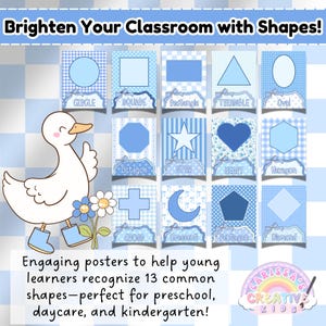 Printable Shape Posters | Silly Goose Classroom Decor | Educational ...